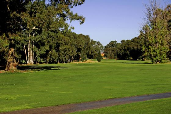 In the Beginning – 18 Holes and Counting!