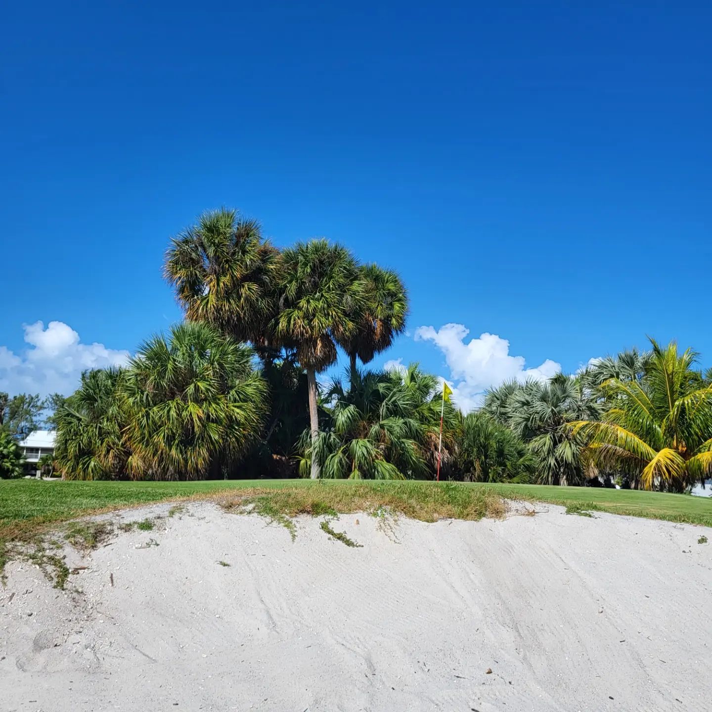 Key Colony Beach Par 3 Golf Course Review – 18 Holes and Counting!