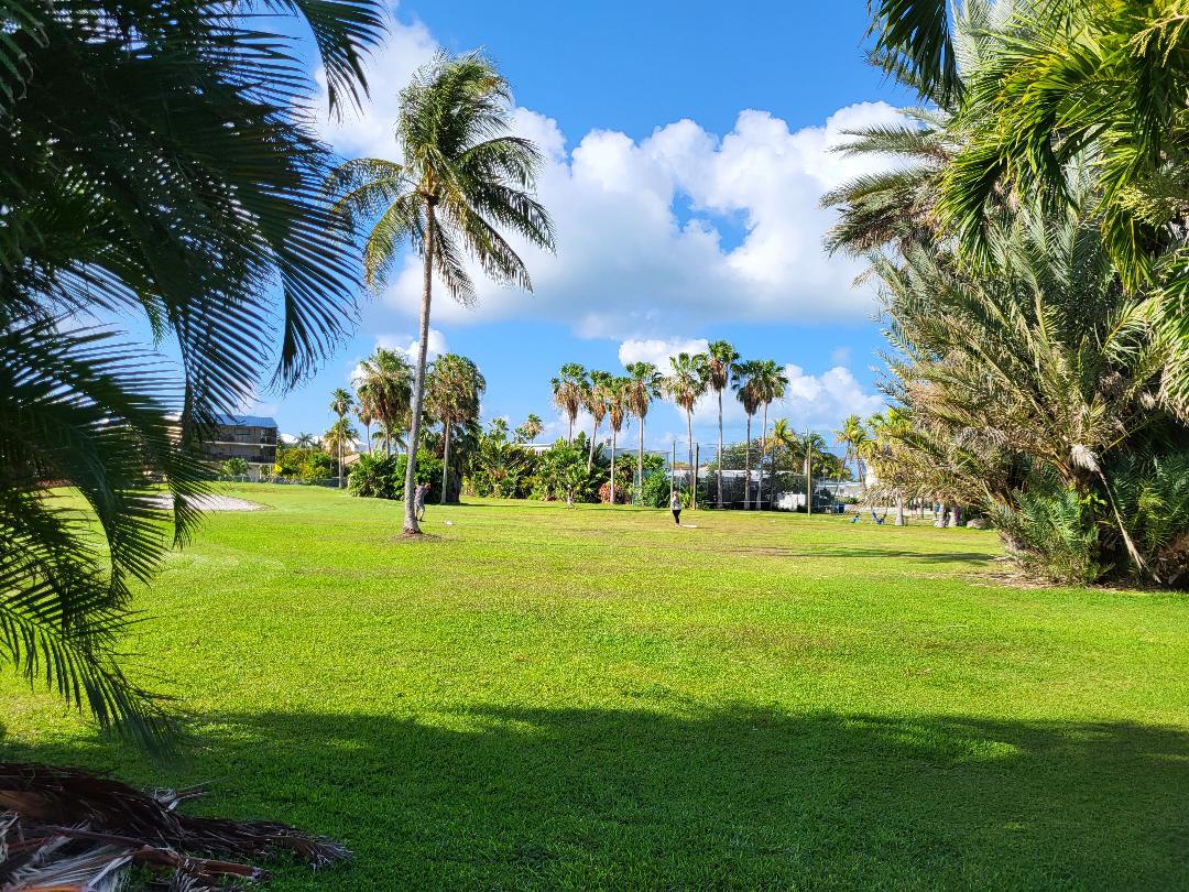 Key Colony Beach Par 3 Golf Course Review – 18 Holes and Counting!