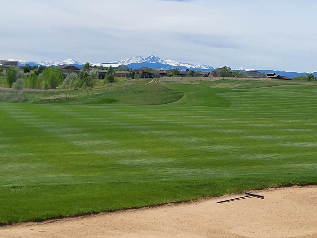 Highland Meadows Golf Course Review – 18 Holes and Counting!