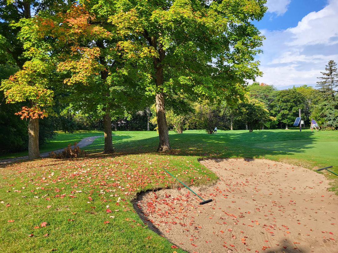 Brown Deer Park Golf Course Review – 18 Holes and Counting!
